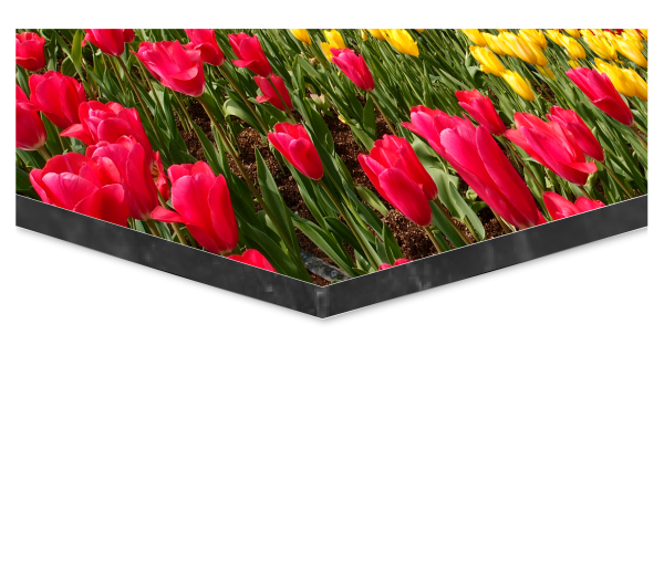 Dibond - Aluminium - Megavista